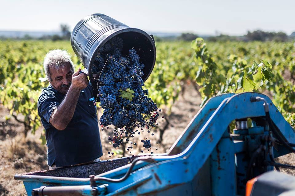 Dei Agre | Salento Km0